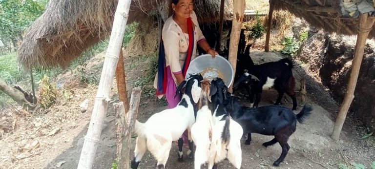 Goat rearing helps Kalika earn income and social prestige « Rural Women ...
